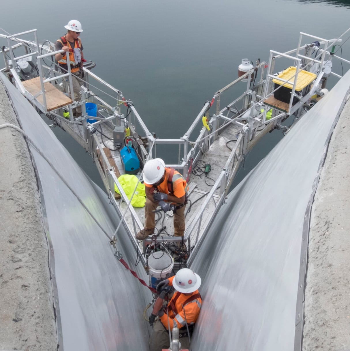 Bee Access | Thrive Creative | Marketing Agency | Strategy, Design ...