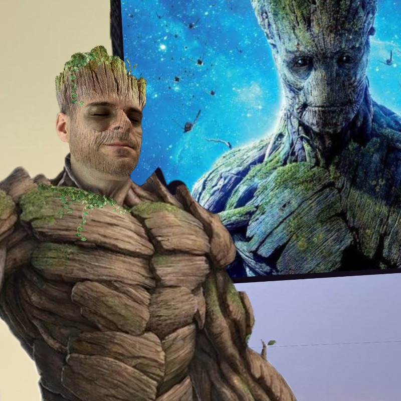 Groot | t2.world