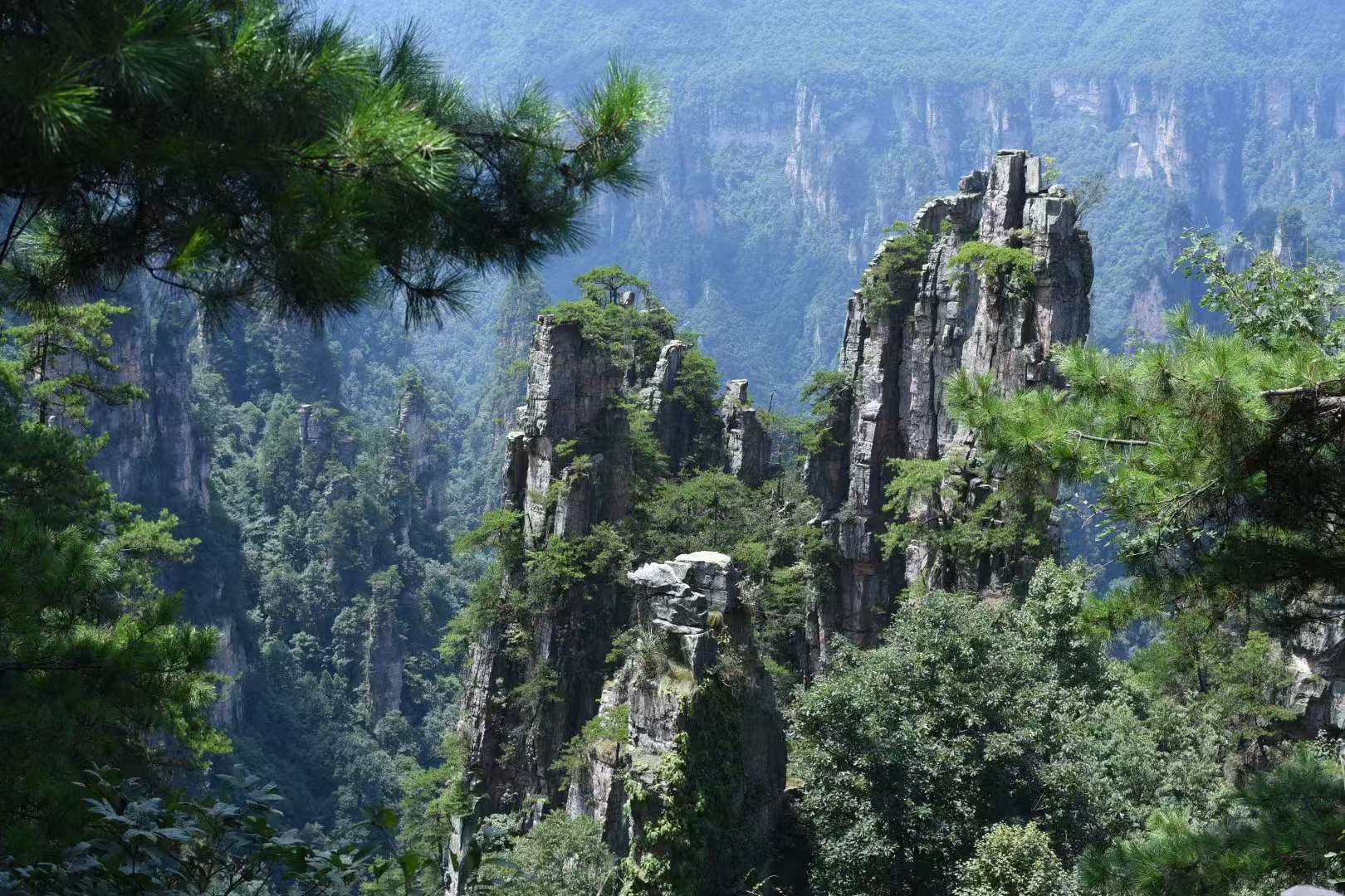 What is PEPE? What is the price trend? Understand PEPE coins at once ...