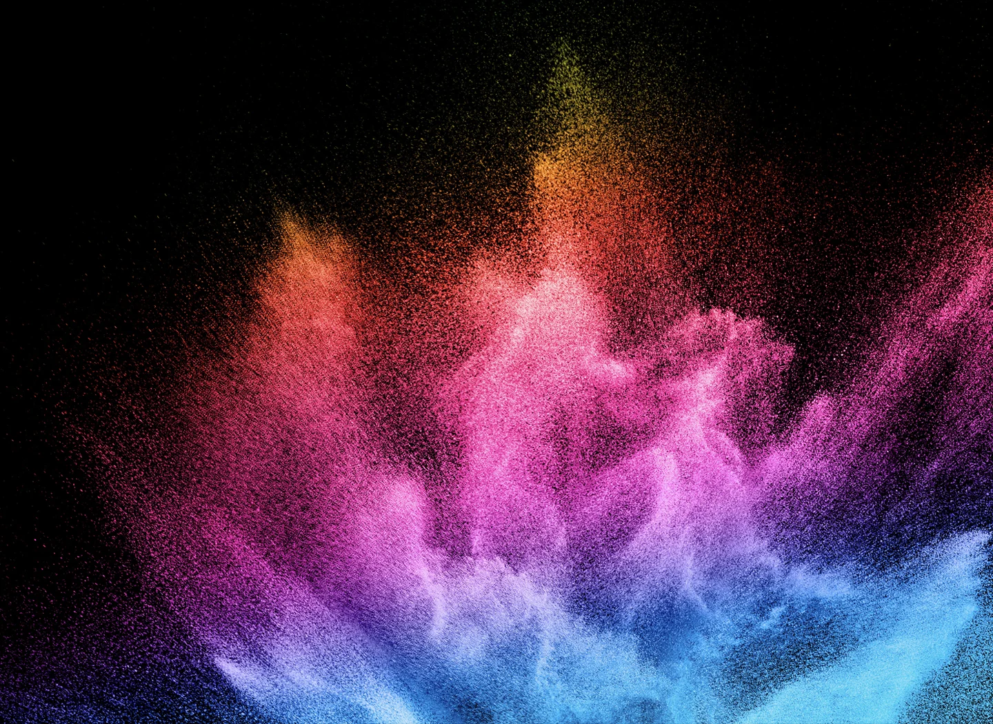 Drupal Web development services | Rollin