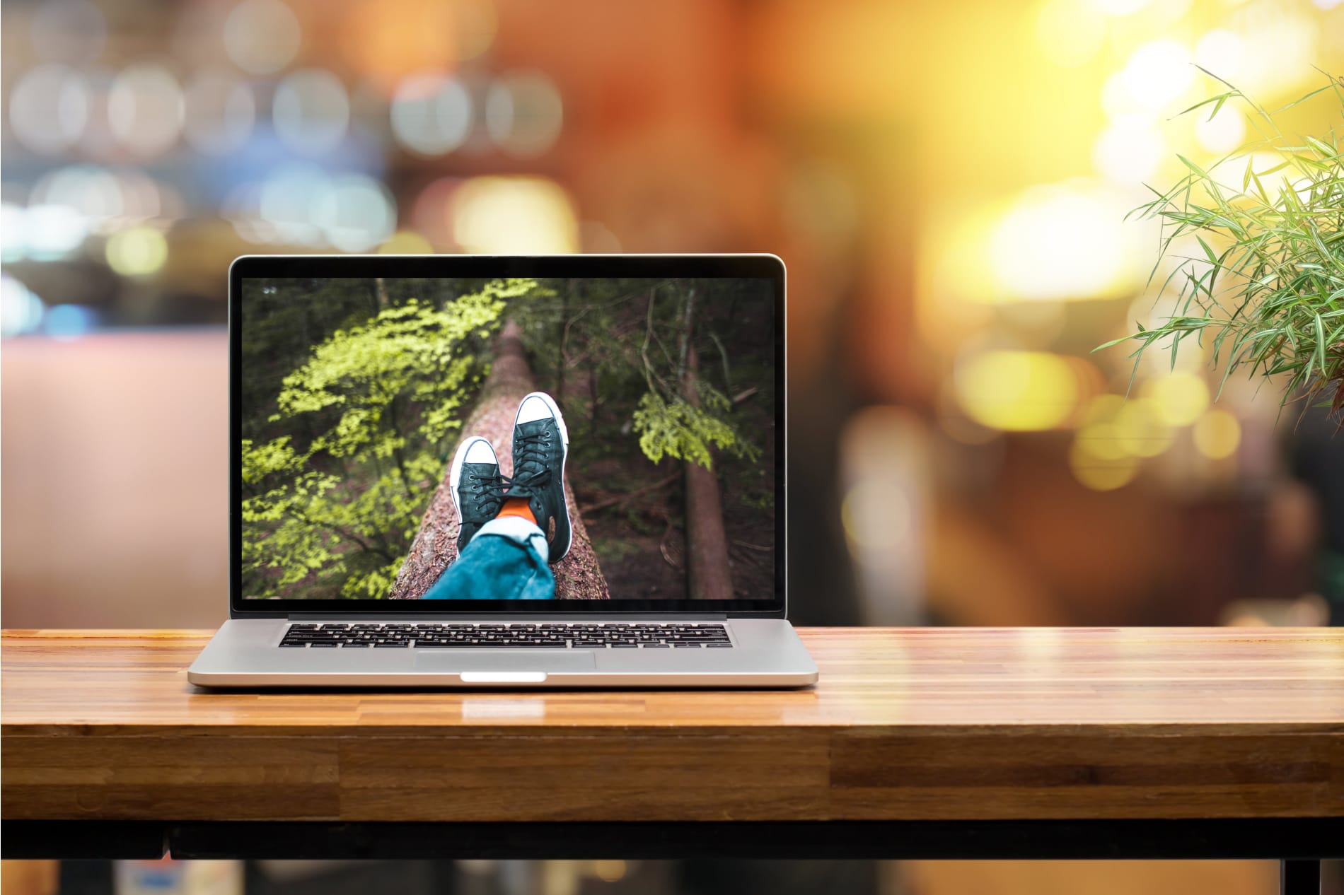 Reverdecer internet | Munkun