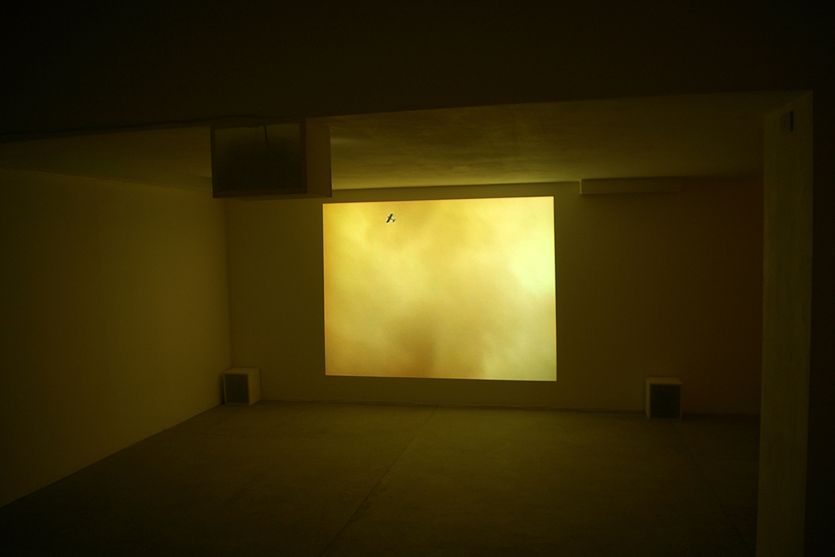 Maria Marshall | Galleria Raffaella Cortese