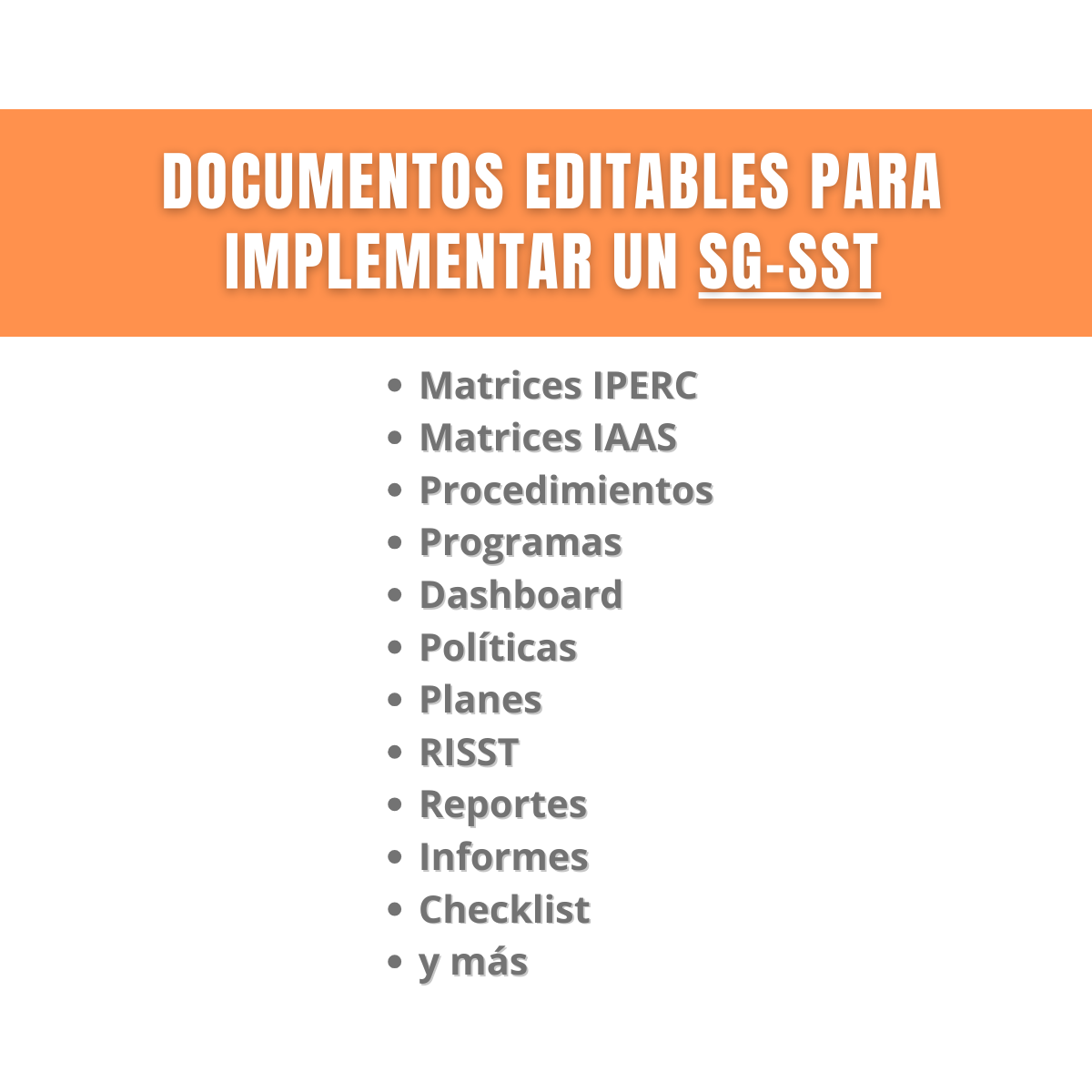 Programas Virtuales | SST Academy