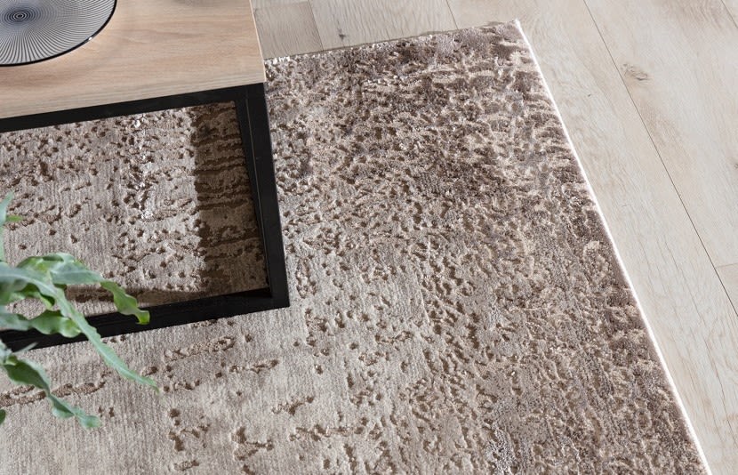 Codrila Beige living room rug 120x180cm Poznaj pozostałe 289 Rugs