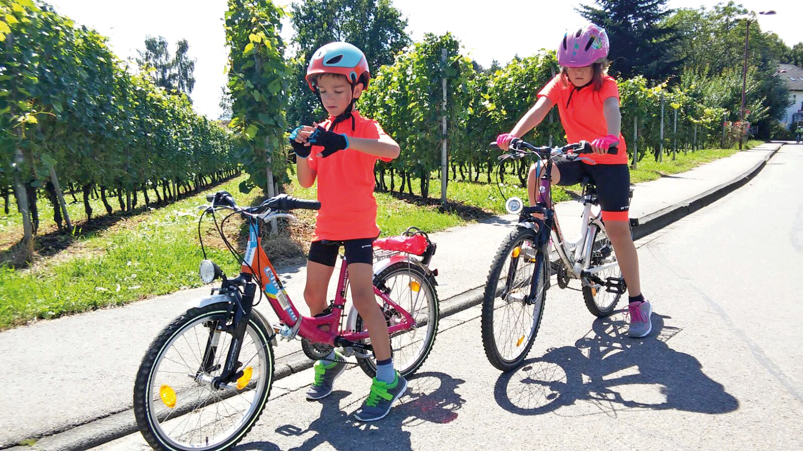 Lago di Costanza: viaggio in bici per famiglie