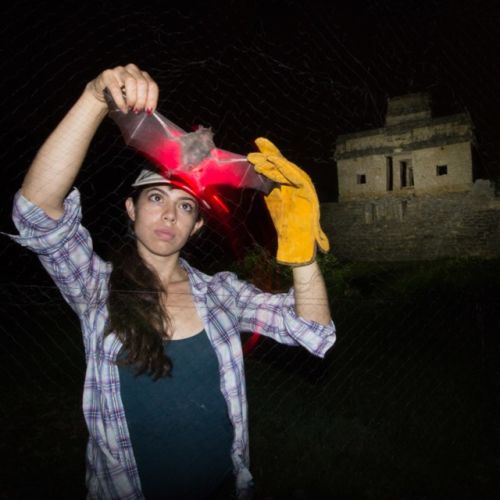 Daniela A. Cafaggi - National Geographic Society