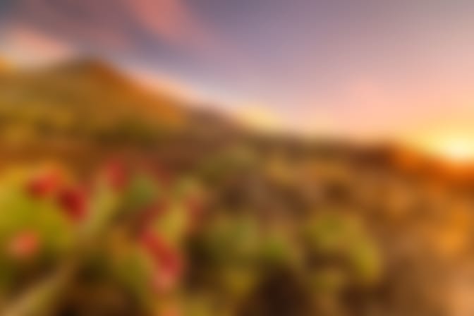 Juan Adalid - Discover La Palma