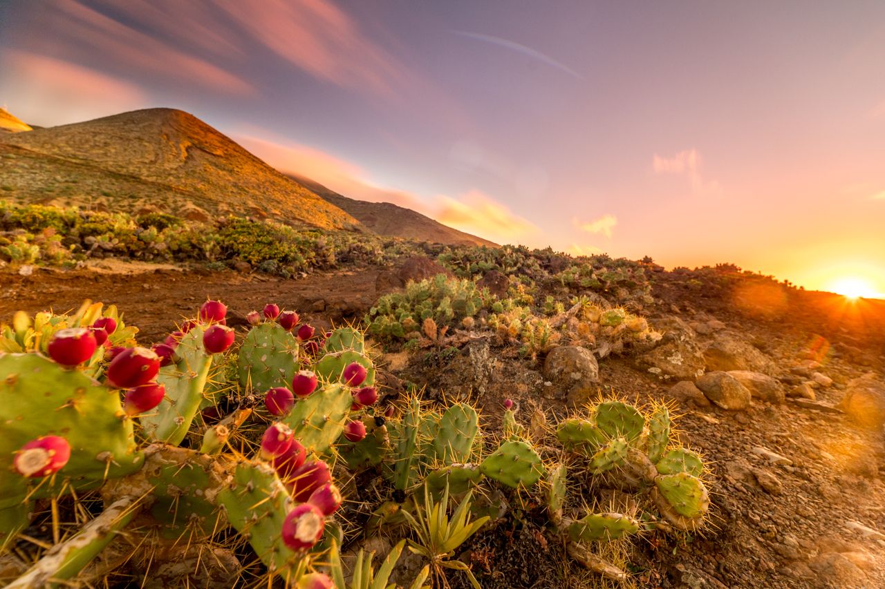 Juan Adalid - Descubre La Palma