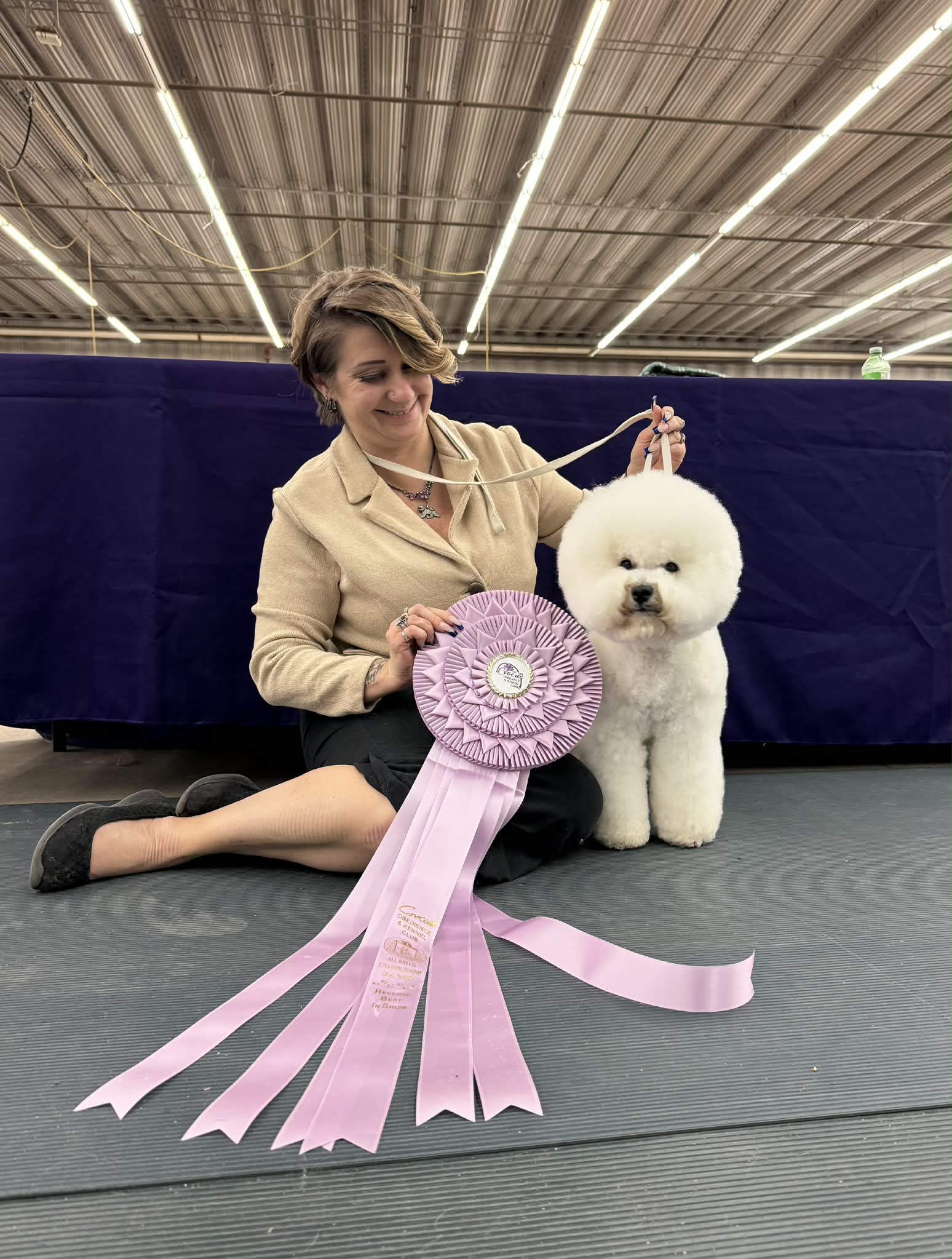 Kaos at Brandon Dog Show Yesterday! | Dalnavert Kennels