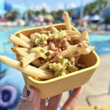 Foodie Guide to New Fries at Walt Disney World | Enchanted Foodie Guides