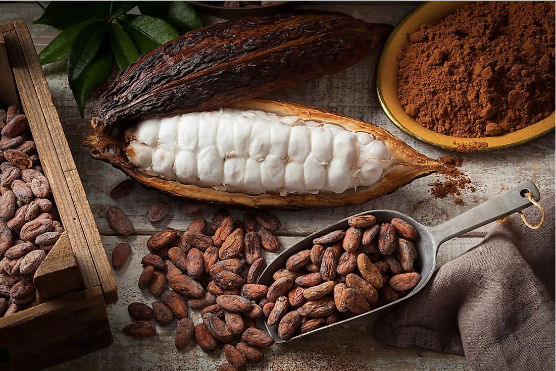 How to Prepare Ceremonial Cacao | Mama Reykjavik