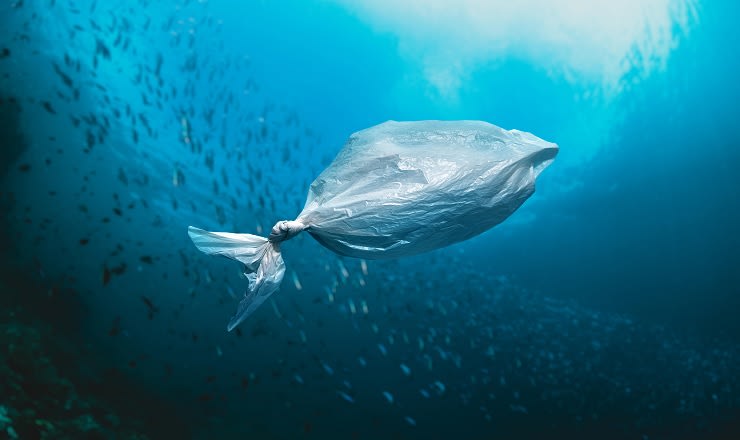 The Dangers of Microplastics to Health: Risks, Sources, and Prevention