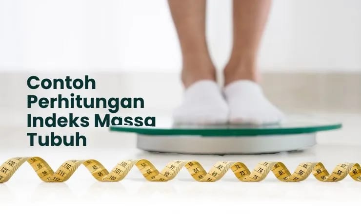 Guide to Calculating BMI (Body Mass Index): Formula and Examples