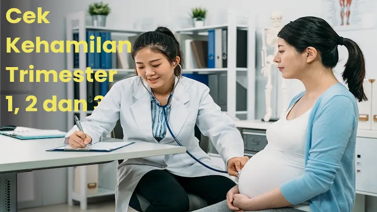 Cek Lab untuk Ibu Hamil di Trimester 1, 2, dan 3