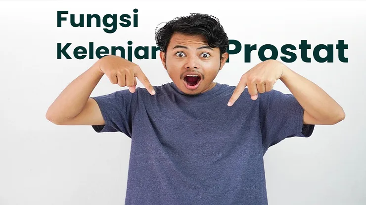 Function of The Prostate Gland and How to Check Prostate Health