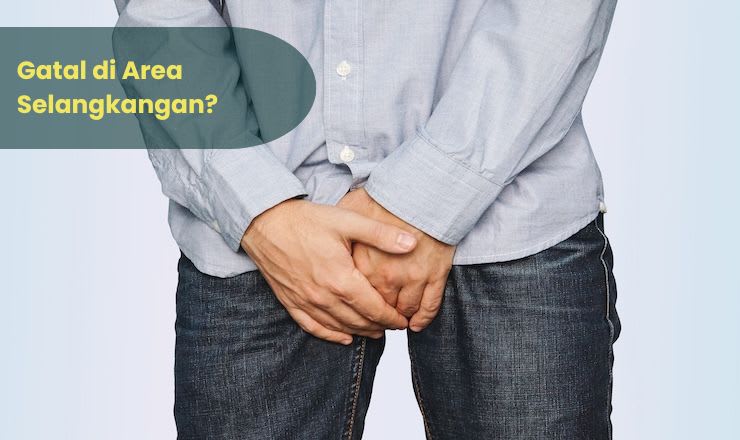 Itching in the Groin Area: Causes and Solutions