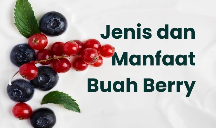 10 Health Benefits of Berry Fruits According to Its Types