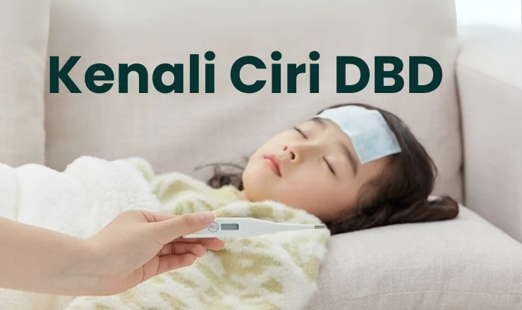 8 Signs of Dengue Fever to Watch Out For