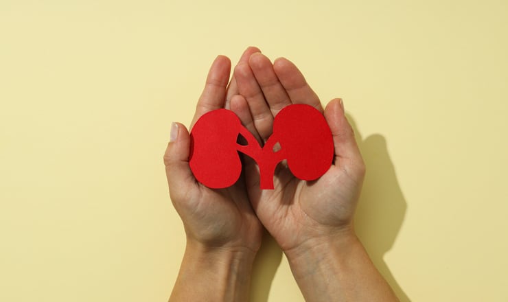 Comprehensive Guide to Chronic Kidney Disease (CKD): Symptoms, Causes ...