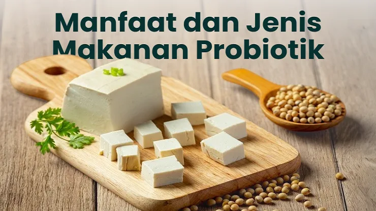Benefit Probiotic and the Types of Foods Rich in Probiotics