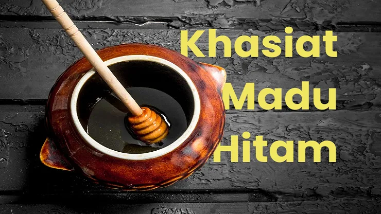 12 Manfaat Madu Hitam Pahit Bagi Kesehatan Tubuh