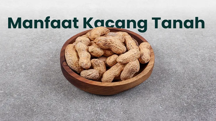 9 Manfaat Kacang Tanah dan Kandungan Nutrisinya yang Menyehatkan