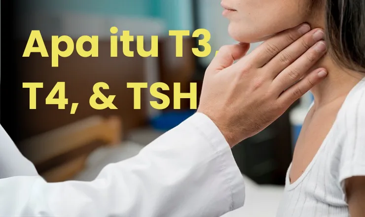 Biaya Pemeriksaan Tiroid T3, T4, TSH di Prodia dan Penjelasan Lengkapnya
