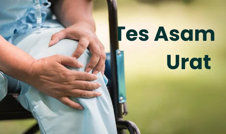 Cara Cek Asam Urat: Panduan Lengkap Tes, Tujuan, dan Kapan Melakukan ...