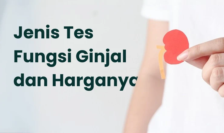 Tes Fungsi Ginjal: Kenali Jenis dan Harga Pemeriksaannya di Prodia