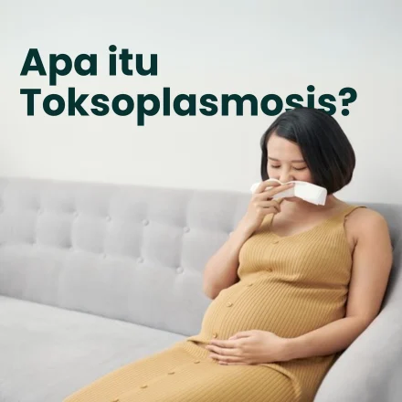 Waspadai Bahaya Infeksi Toksoplasma pada Ibu Hamil serta Cara Pencegahannya