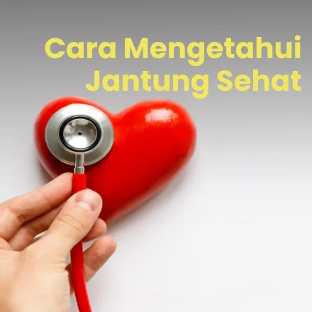 11 Penyebab dan Cara Mengetahui Jantung Sehat atau Tidak Secara Lengkap