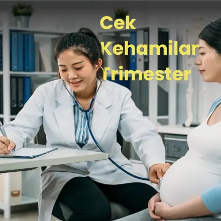 Cek Lab untuk Ibu Hamil di Trimester 1, 2, dan 3