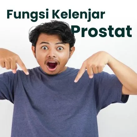 Fungsi Kelenjar Prostat dan Cara Cek Kesehatan Prostat