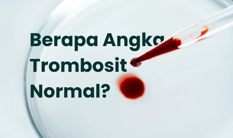 Trombosit Normal: Kadar Ideal pada Orang Dewasa