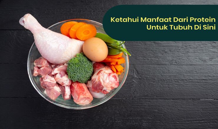 Manfaat Protein: 14 Khasiat Sehat Kegunaannya Bagi Tubuh Manusia
