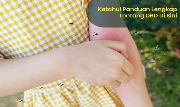 Demam Berdarah Dengue (DBD): Penyebab, Gejala, Pengobatan, dan Pencegahan