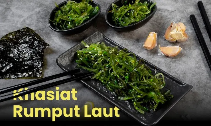 10 Manfaat Rumput Laut Bagi Kesehatan dan Kekuatan Nutrisinya