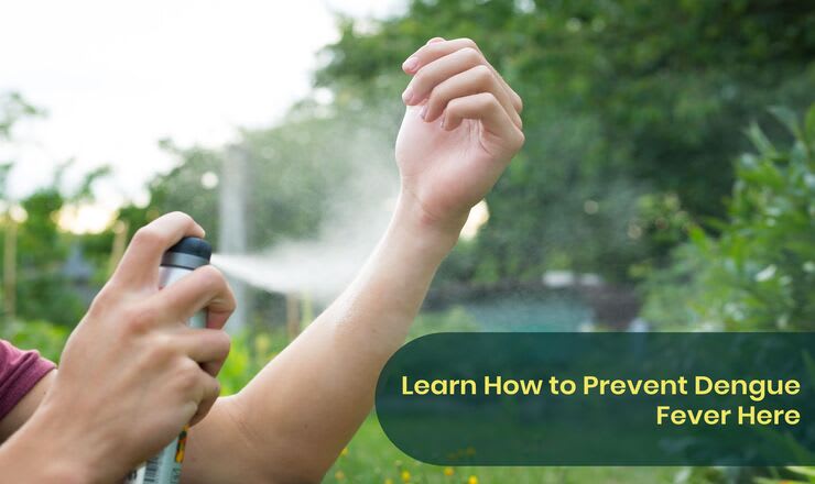 Dengue Prevention Tips | 10 Effective Ways to Prevent Dengue ...