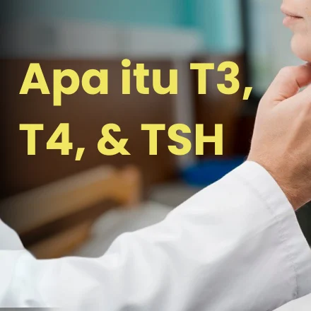 Biaya Pemeriksaan Tiroid T3, T4, TSH di Prodia dan Penjelasan Lengkapnya
