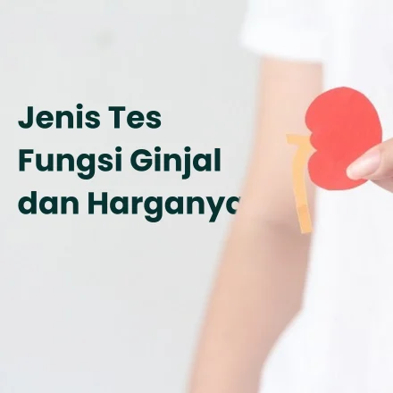 Tes Fungsi Ginjal: Kenali Jenis dan Harga Pemeriksaannya di Prodia