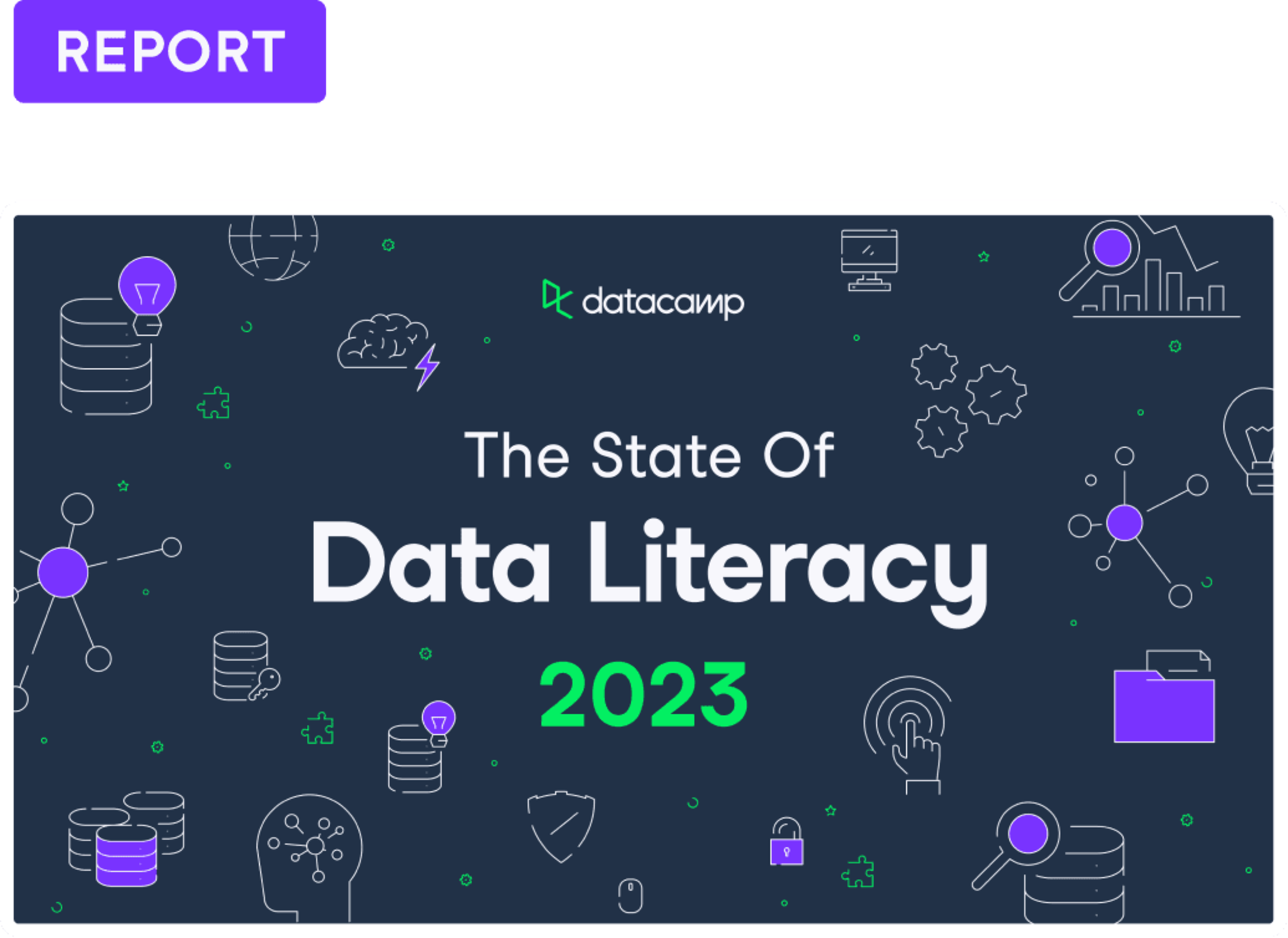 Introducing The State of Data Literacy Report 2023 | DataCamp