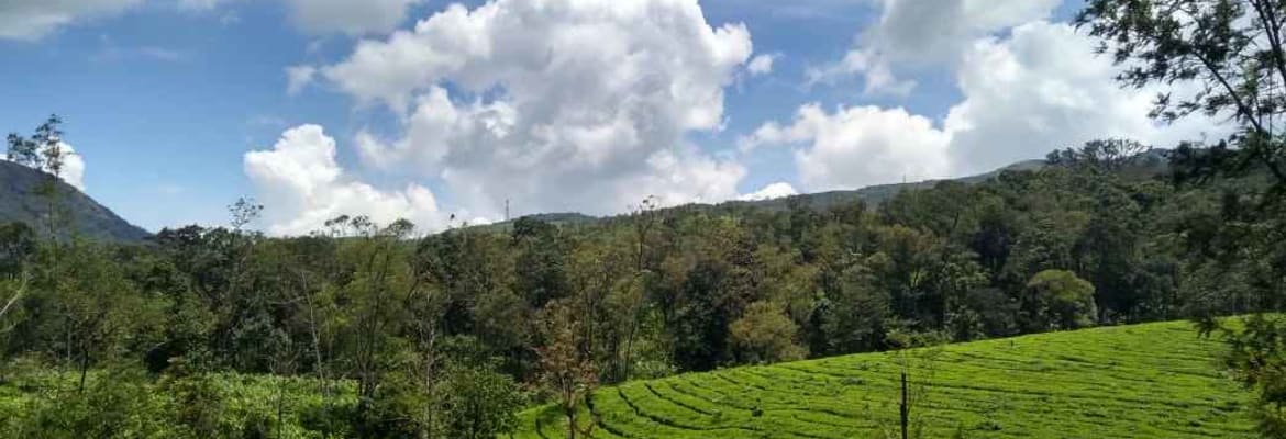 Vagamon Day Tour Image