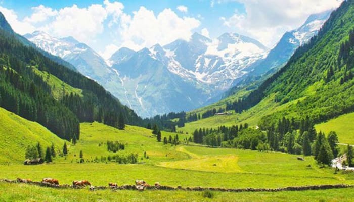 Aru Valley Aru Valley, Srinagar: How To Reach, Best Time & Tips