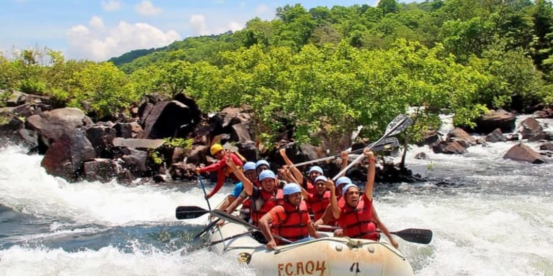 Dandeli