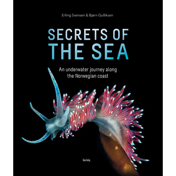 Secrets of The Sea - Havets Hemmeligheter (Eng) Alf Lea as | dykk.no