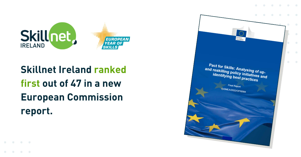 Next Level Skillnet - Transforming Business Through Talent