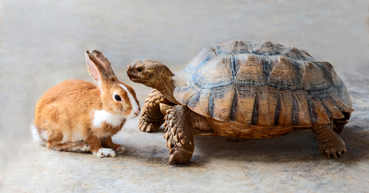 Spanish Fables - Short Stories for Beginners ⁄ Grow Spanish.com