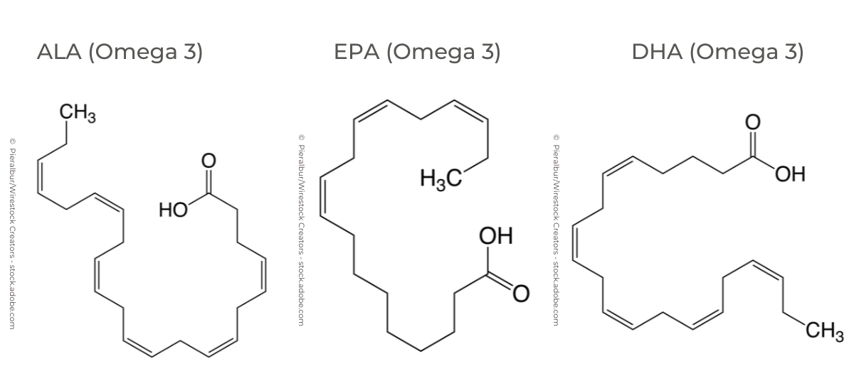 Omega-3-Fettsäuren: Warum sie wichtig für unseren Körper sind