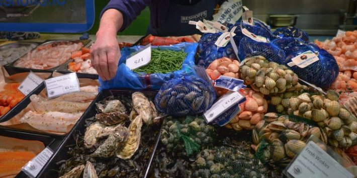 EU Shellfish Export Ban Is Indefinite, Not Temporary as Government Claimed