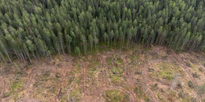 The House | It’s time to use our world-leading Environment Act to ...